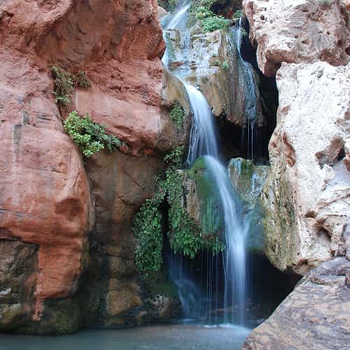 Elves Chasm - A Beautiful Grand Canyon Hike and Waterfall